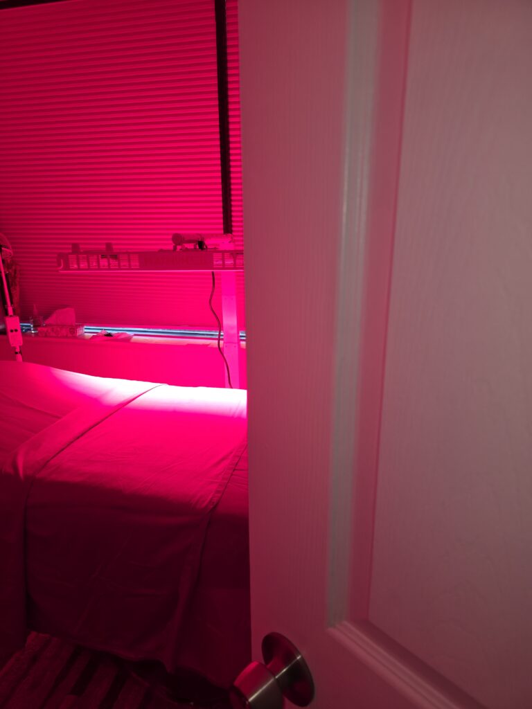 5 Synergistic Benefits of Red Light Therapy and Acupuncture for Pain ...
